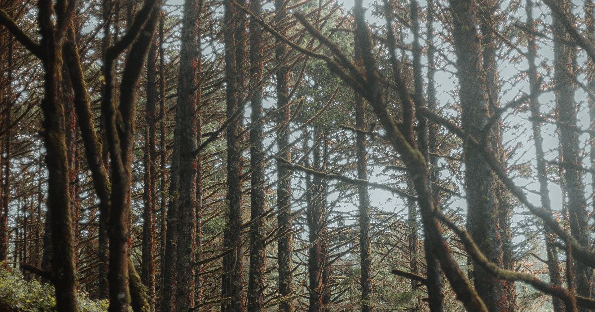 Back to nature by Arya | Coloursmith - Create Your Colour, Paint Your ...